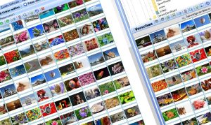 Fotos sortieren und doppelte Bilder finden mit Fotosortierer XL