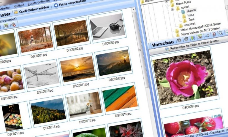 Fotos sortieren und doppelte Bilder finden unter Windows