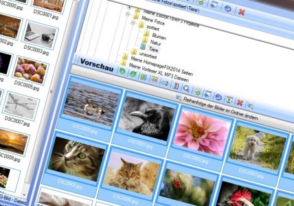 Fotos sortieren und doppelte Bilder finden unter Windows