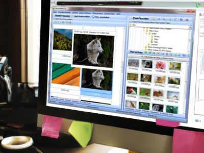 Fotos sortieren und doppelte Bilder finden unter Windows